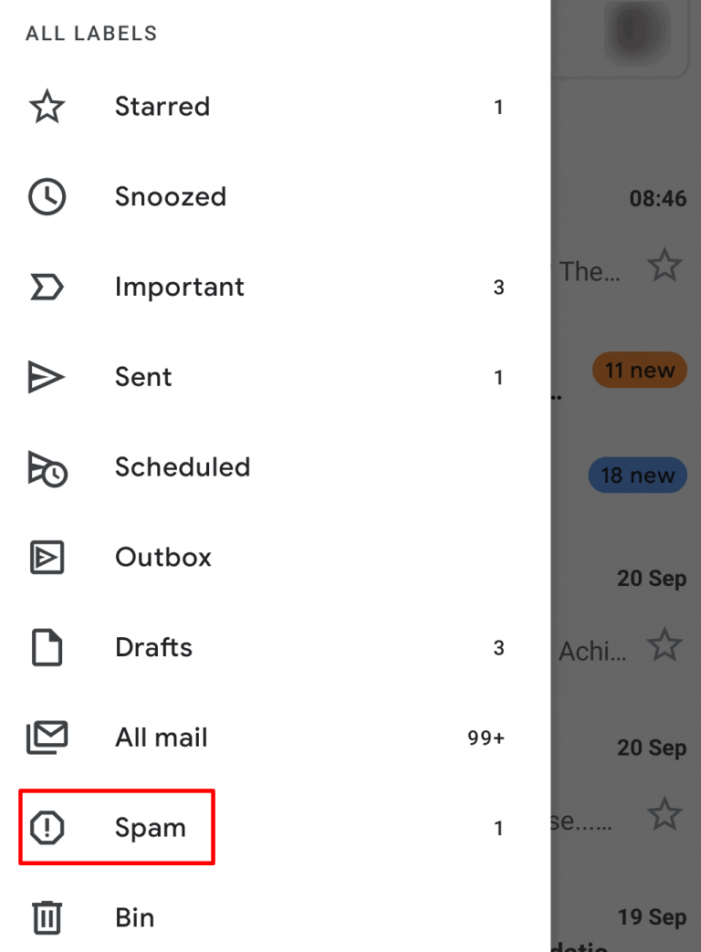 How To Check Your Spam Folder In Gmail and Outlook